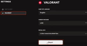 Valorant Error Code VAL 5: Explained And How to Fix