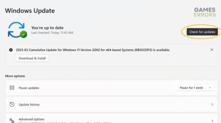 DirectX Runtime Valorant Error: How to Fix It Easily