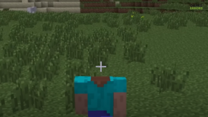 Error 422 Minecraft Version: Explained Guide