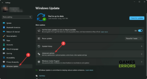How to Update .NET Framework to Solve Gaming Issues?